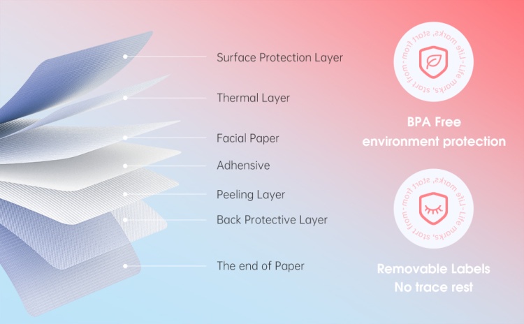 NIIMBOT D11/D110/D101/H1S Label Printing Paper Transparent Name ...