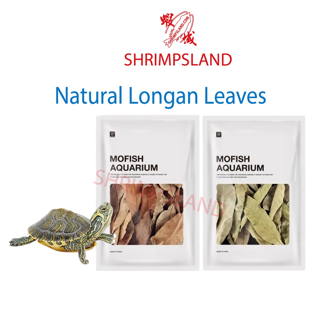 [SHRIMPSLAND] Aquarium Natural Longan Leaves Fish Turtle Tortoise ...