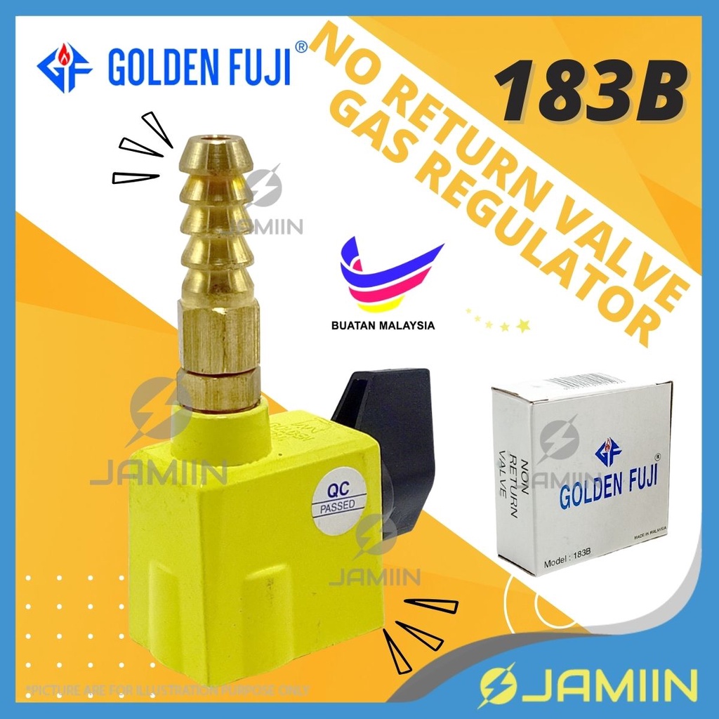GOLDEN FUJI 183B Gas Regulator Unreduced Pressure Coupling Non Return ...