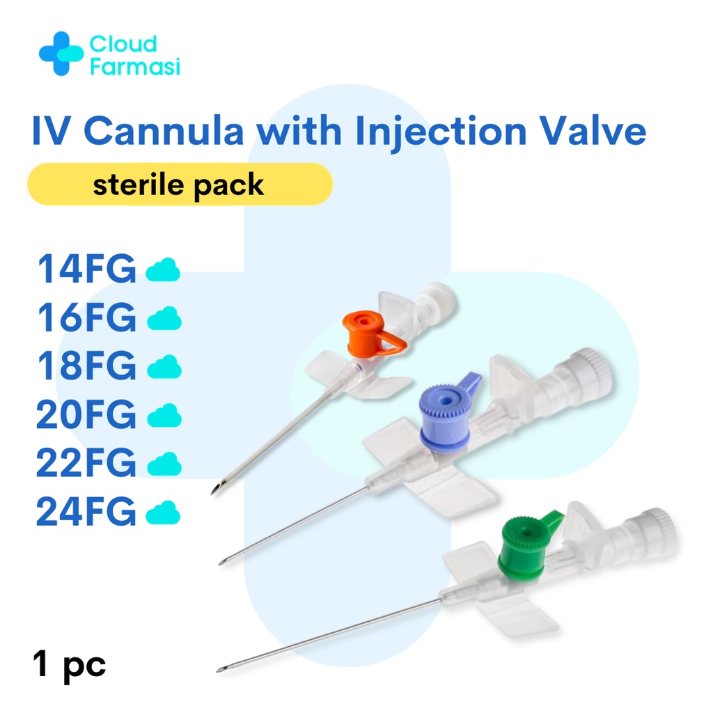 [Cloud Farmasi] IV Cannula with Wing & Injection Valve - Sterile Packed ...