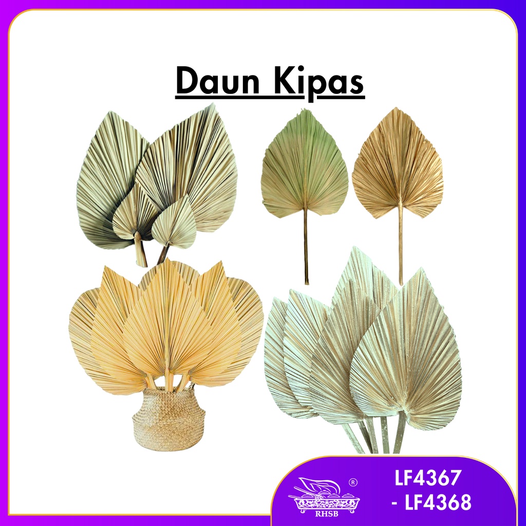 DAUN KIPAS KERING / PALM LEAF / DAUN PALMA / DAUN PALM/ DAUN PELAMIN ...