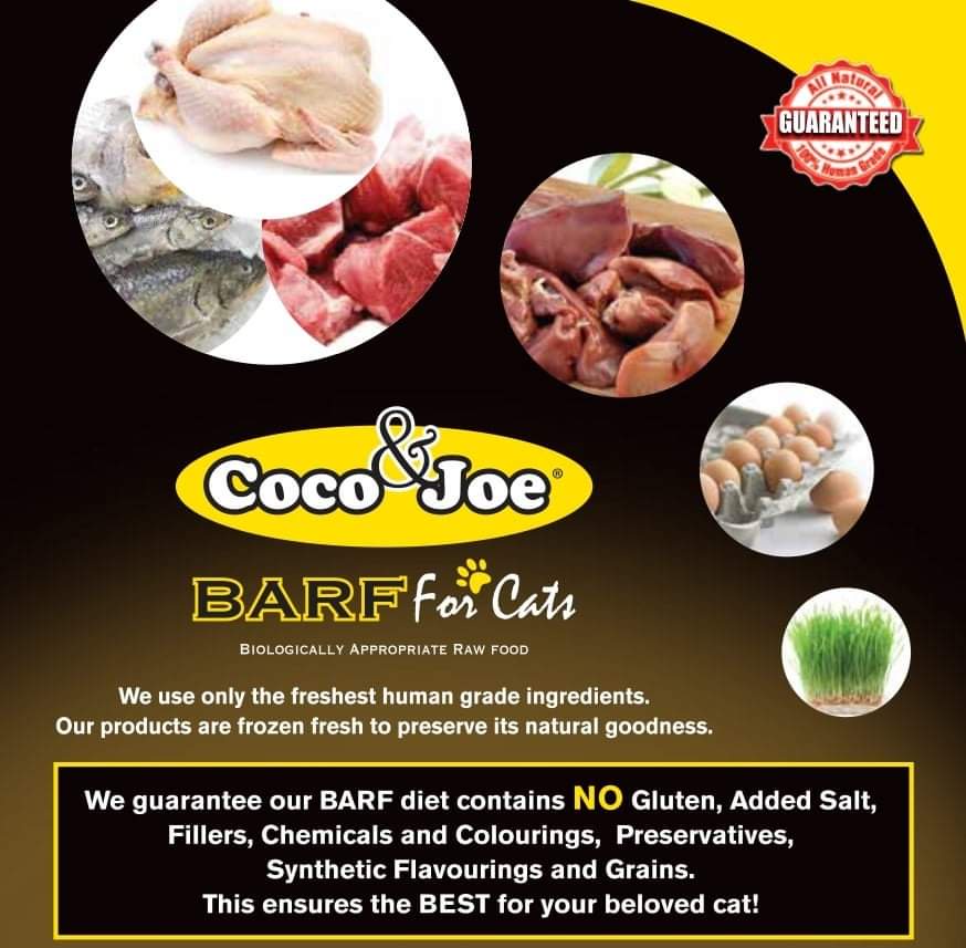[Instant Delivery] Coco & Joe Barf Raw Food For Cats ( 300g and 1kg ...