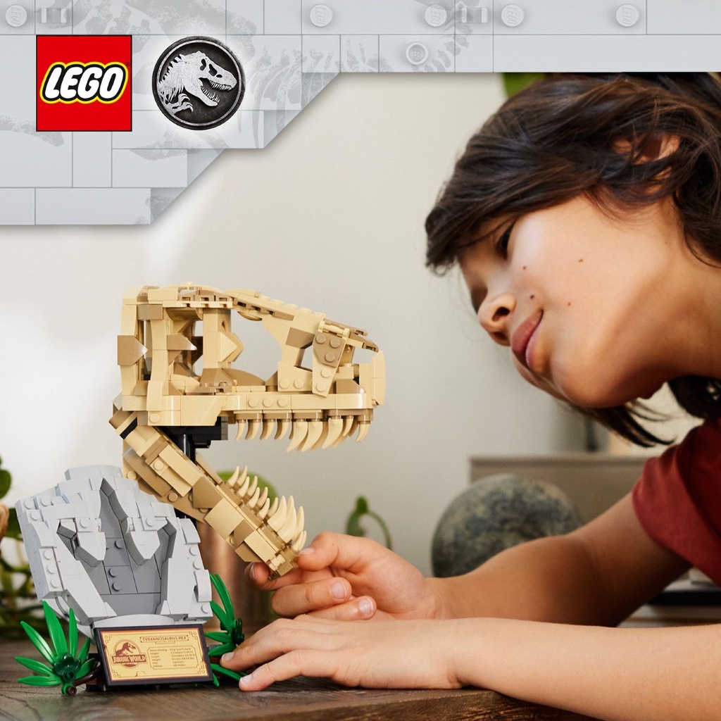LEGO 76964 Jurassic World Dinosaur Fossils: T. rex Skull Building Toy ...
