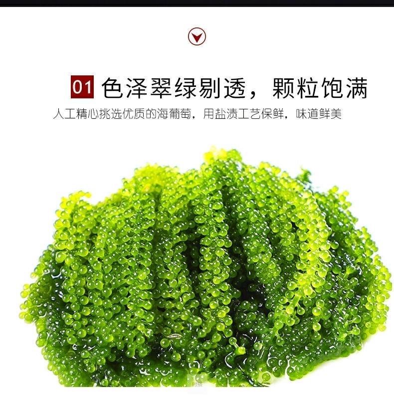 ZEJUN Salted Sea Grape 100g Kelp Shredded Fresh Instant Seaweed ...