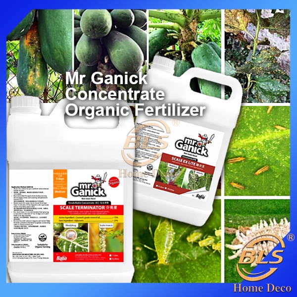 BLS BABA Mr Ganick Scale Terminator (4L) Scale Ex Lite Concentrate ...