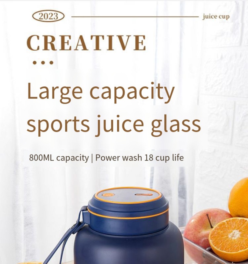2-in-1 Juicer Cup Mini Blender 800ML Portable Juicer with Double Lid ...