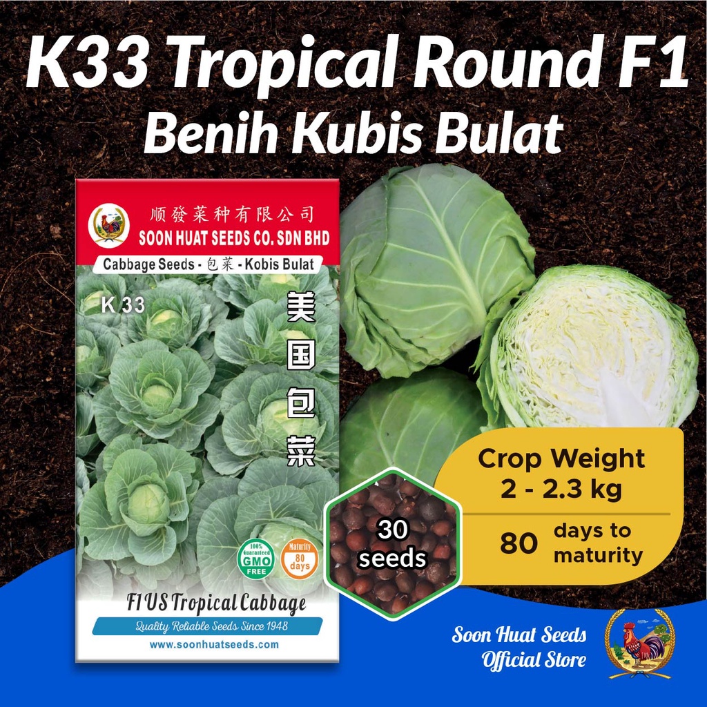 [Small Pack/20g] K33 Benih Sayur Kubis Bulat Cabbage Soon Huat Seeds ...