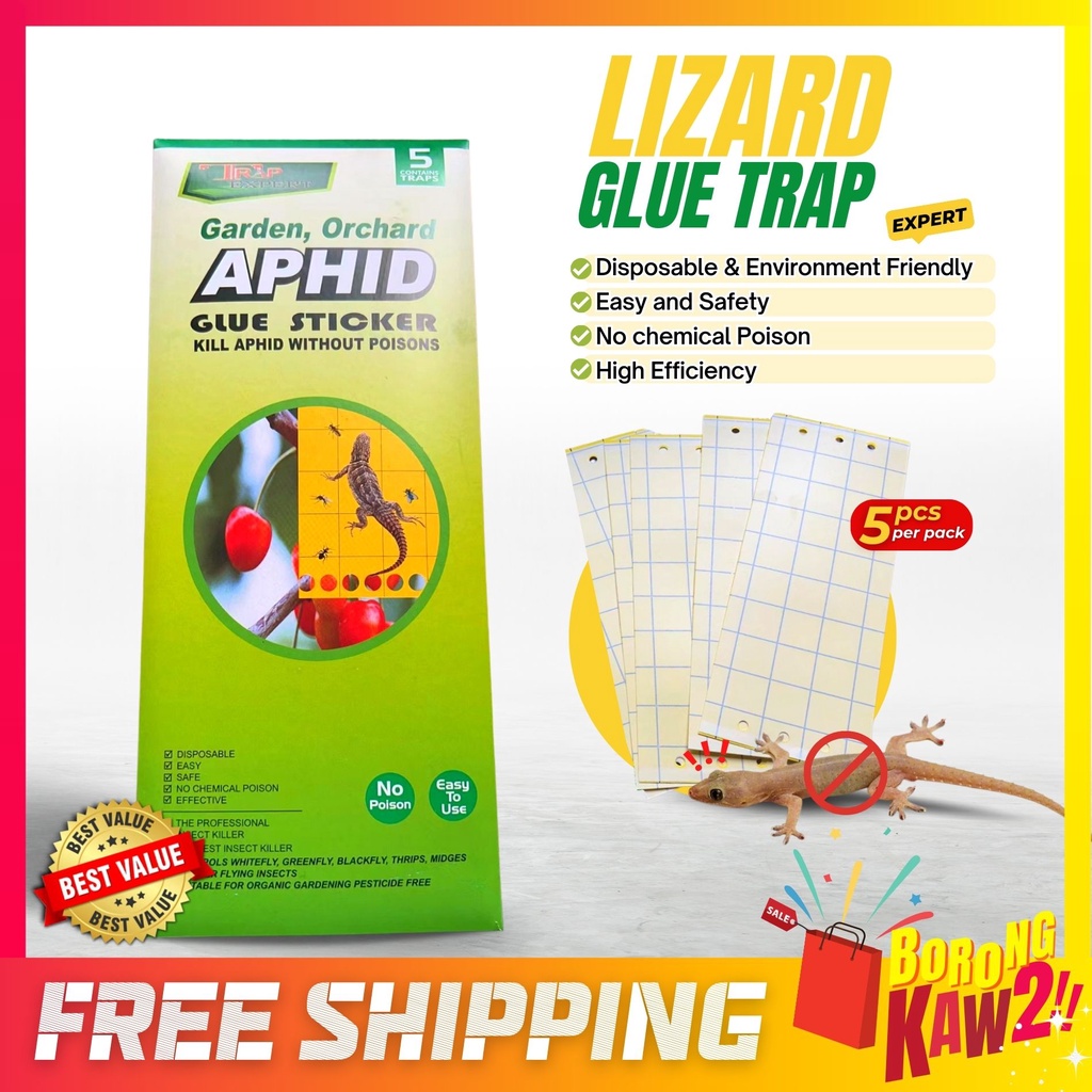 Adhesive Sticky Glue Trap Lizard Aphid Gecko Strong Boards for Pest ...