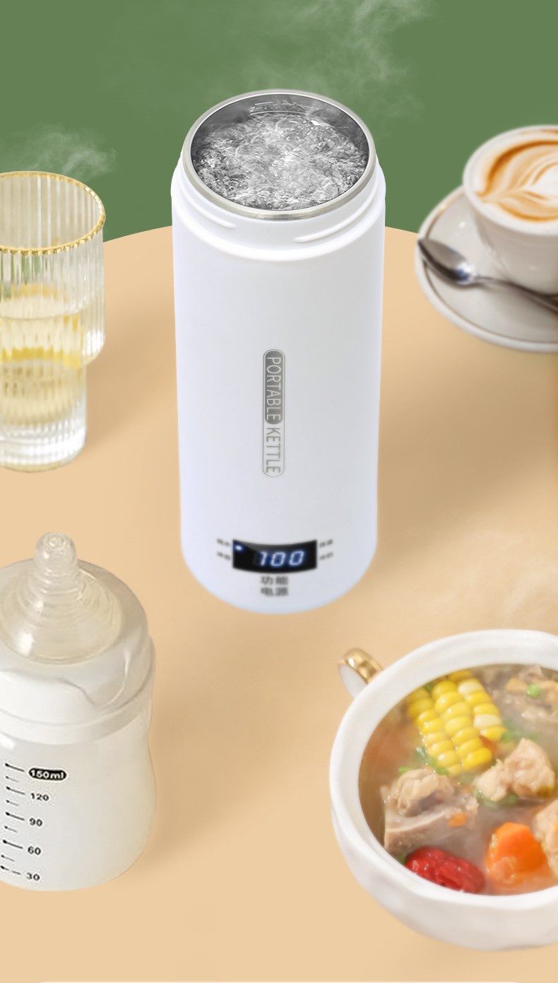 SalesWithJoy 500ml Portable Electric Kettle Travel Mini Thermal Flask ...