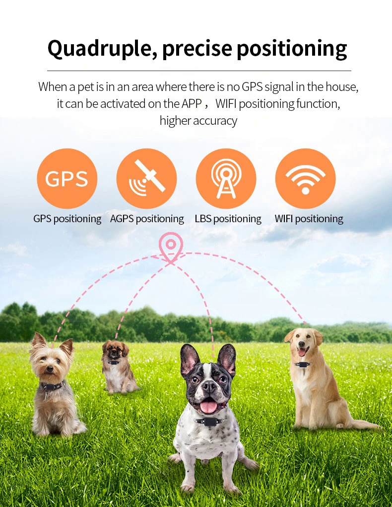 Pet GPS Tracker Waterproof Location Adjustable Collar GSM AGPS LBS Wifi ...
