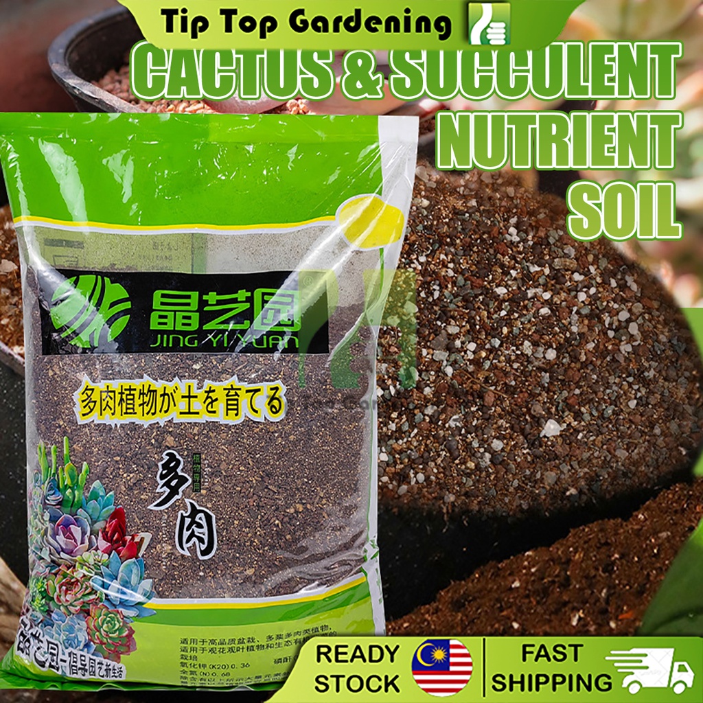 Cactus & Succulent Nutrient Soil Organic Succulent Potting Mix Garden ...