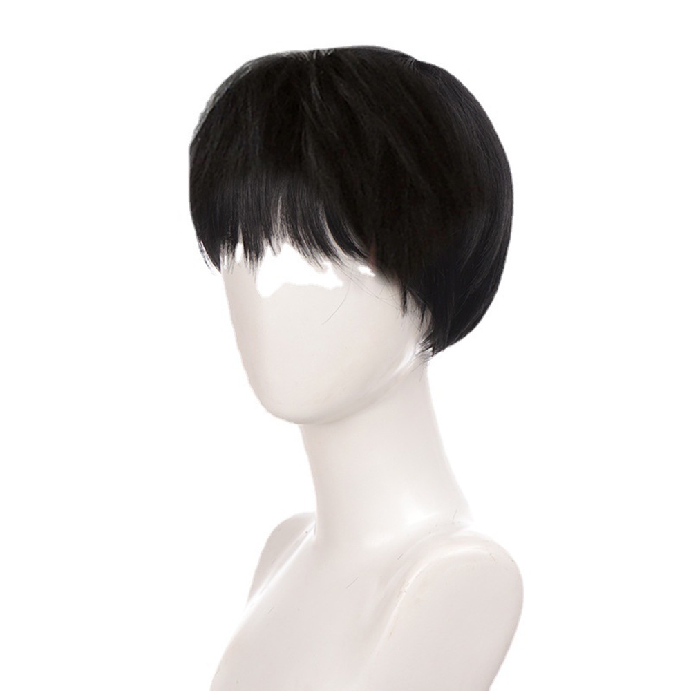 Korean Men's Short Wig - Natural Fluffy Hairpiece for Cosplay & Parties ...