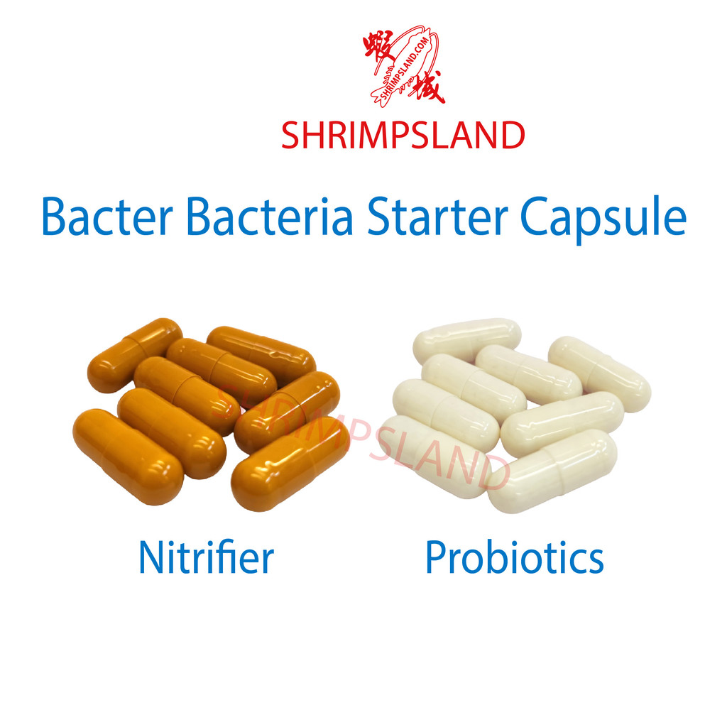 [SHRIMPSLAND] Aquarium 10pcs Bacter Probiotics and Composite Nitrifier ...