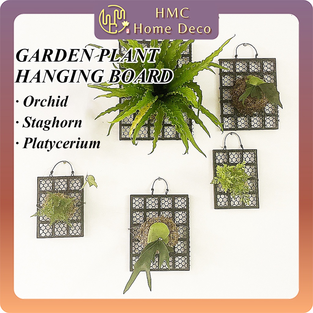 Garden Plant Hanging Board Orchid / Staghorn / Platycerium Mounting ...