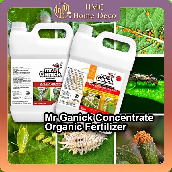 HMC BABA Mr Ganick Scale Terminator (4L) Scale Ex Lite Concentrate ...