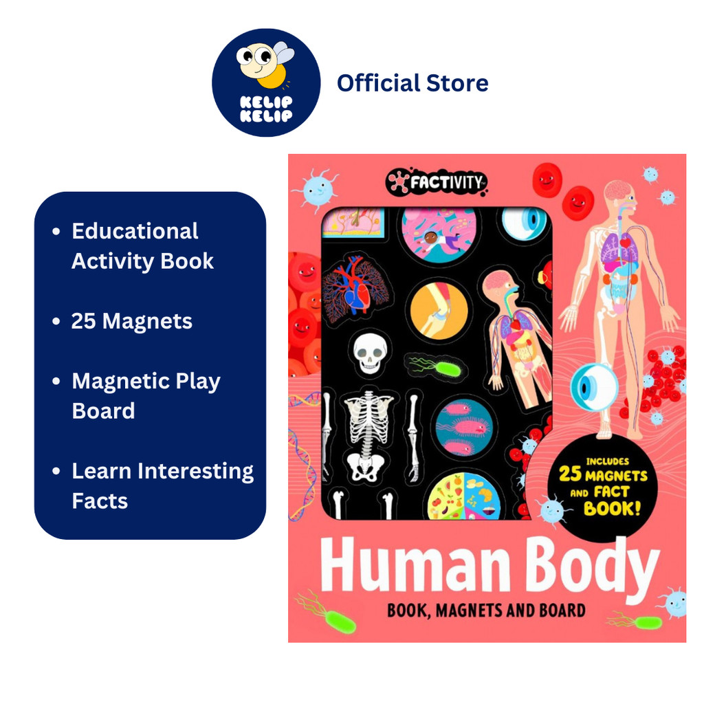 Human Body Factivity Magnetic Folder & Book With Magnets & Board For ...