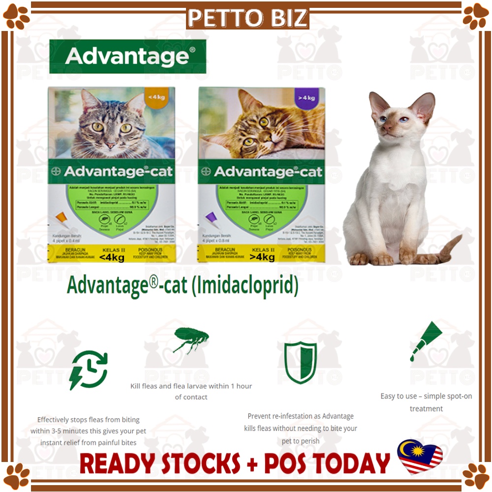 Bayer Advantage Cat Spot On 4kg ANTI KUTU KUCING FLEA OUT Clear Spot On ...