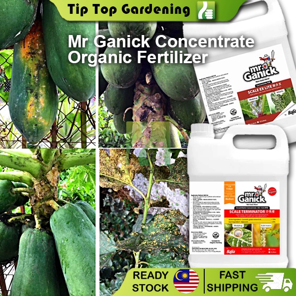 BABA Mr Ganick Scale Terminator (4L) Scale Ex Lite Concentrate Organic ...