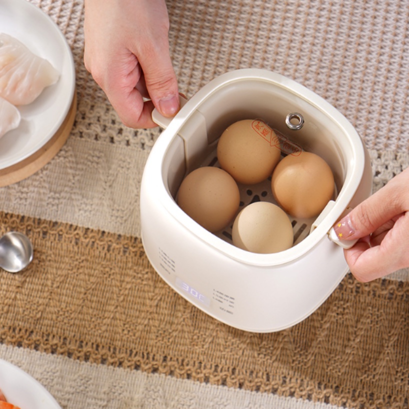 220V Electric Hot Spring Egg Boiler Steamer Stewed Eggs Custard Candy ...