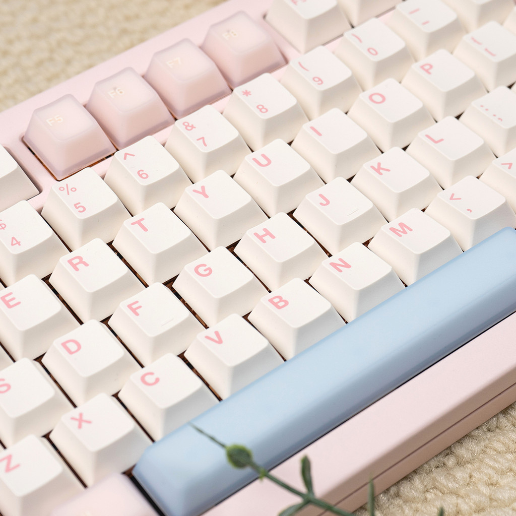 Yongqiu Translucnet keycaps Blue Pink Double Shot ABS+PBT Cherry ...