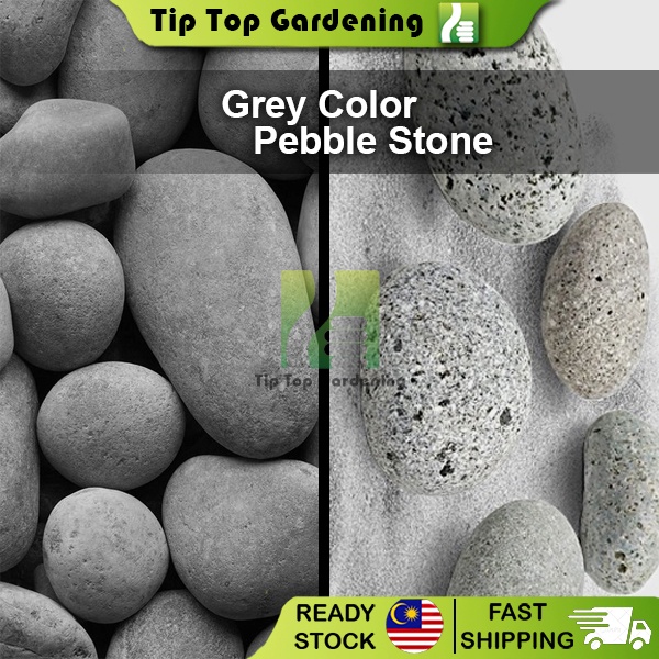 1 KG GREY COLOR PEBBLE STONE GARDEN LANDSCAPE HOME DECO AQUARIUM BATU ...