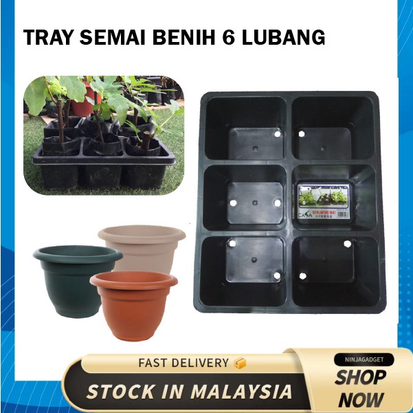 Seedling Tray Flower 6 Hole/Bekas Semaian 6 Petak Tray tanaman Pasu ...
