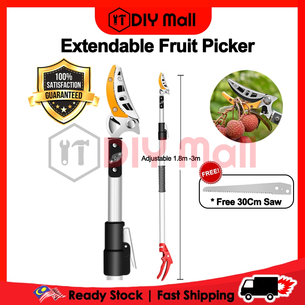 DIYMALL Fruit Picker 1.8-3 Meters Extendable Fruit Scissors Garden ...