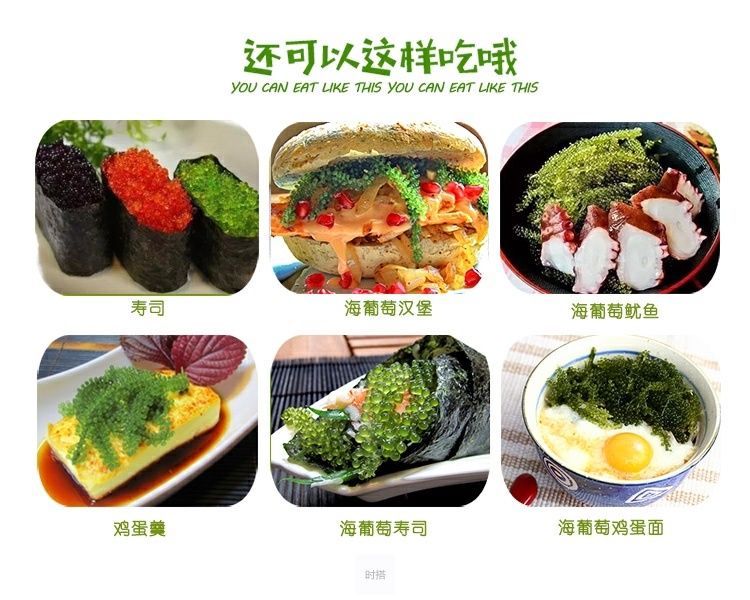 ZEJUN Salted Sea Grape 100g Kelp Shredded Fresh Instant Seaweed ...