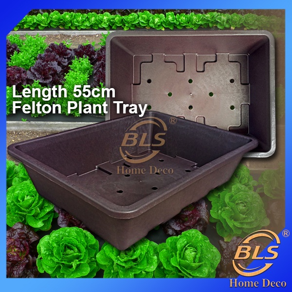 BLS Length 55cm Felton Plant Tray 2633 Planter Box Kotak Penanam Sayur ...