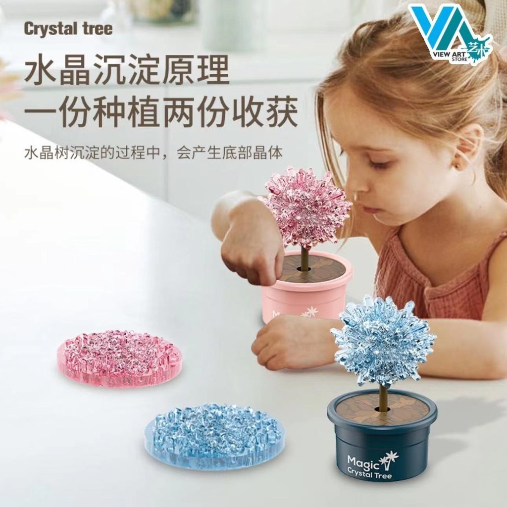 DIY Steam Crystal Planting Growing Science Experiment Educational Kit ...