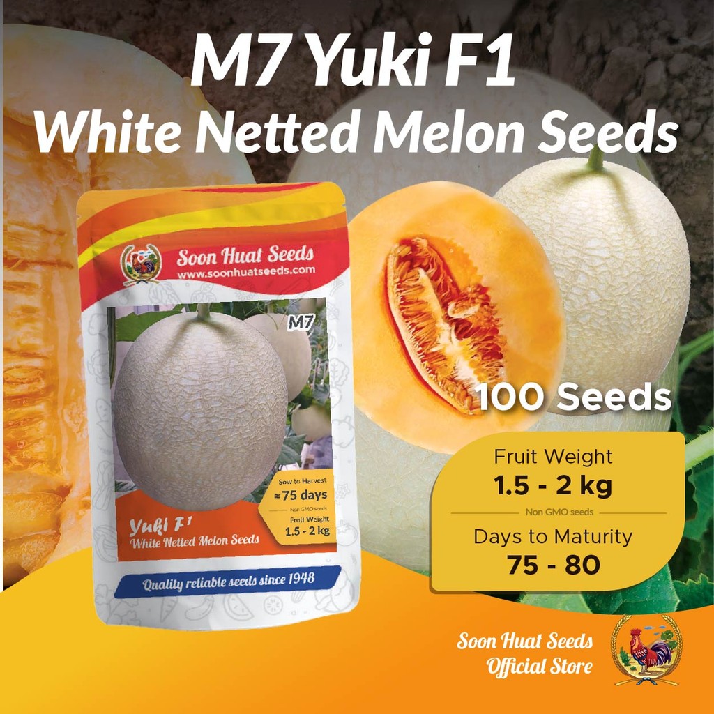[100 Seeds] M7 Benih Melon Yuki Soon Huat Seeds | Shopee Malaysia