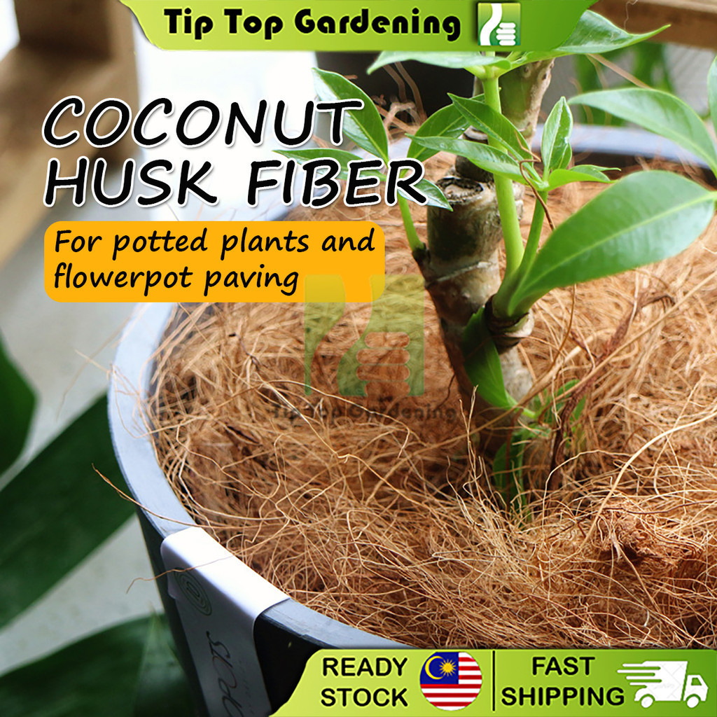 Coconut Husk Fiber Pure Organic Coco Coir Husk Fiber Sabut Kelapa Kasar ...