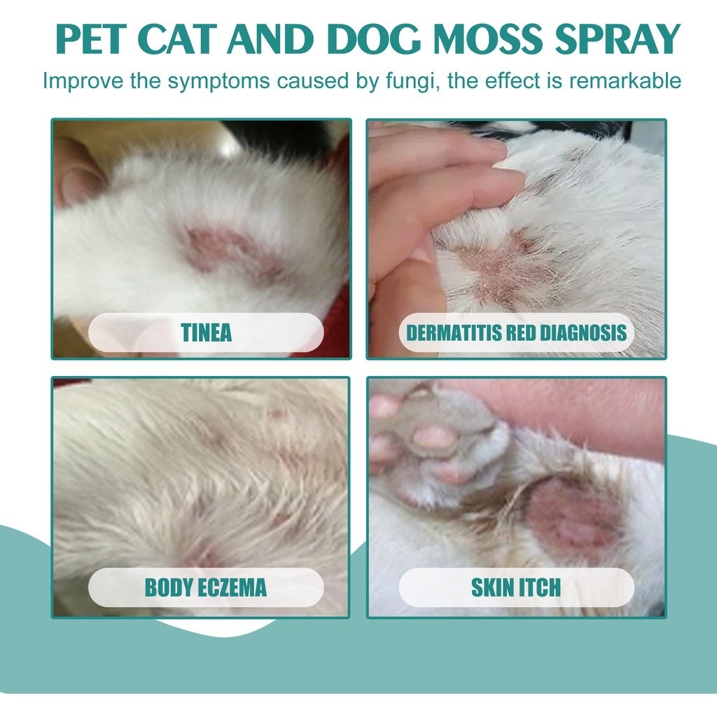 Dog and Cat Itch Relief & Skin Treatment- for Itchy Skin and Ringworm ...