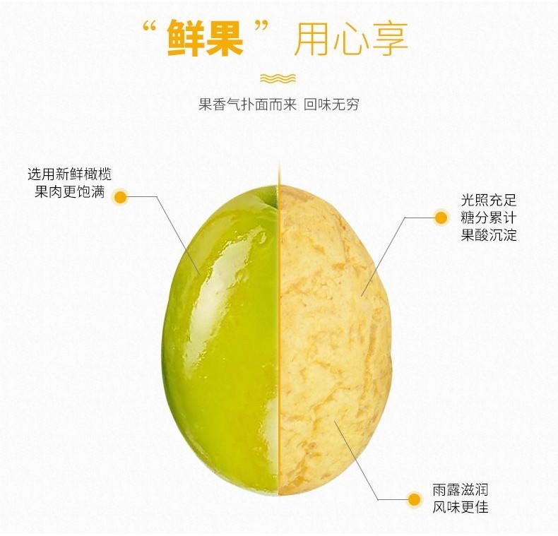 ZEJUN Sweet Dried Olives 218g Chaoshan Specialty Preserved Fruit Salted ...