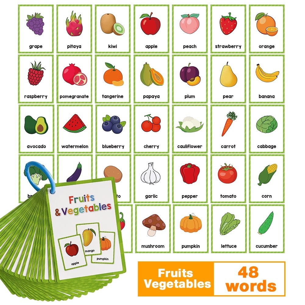 12 themes Flash Cards Family Preschool Education learn English Word ...