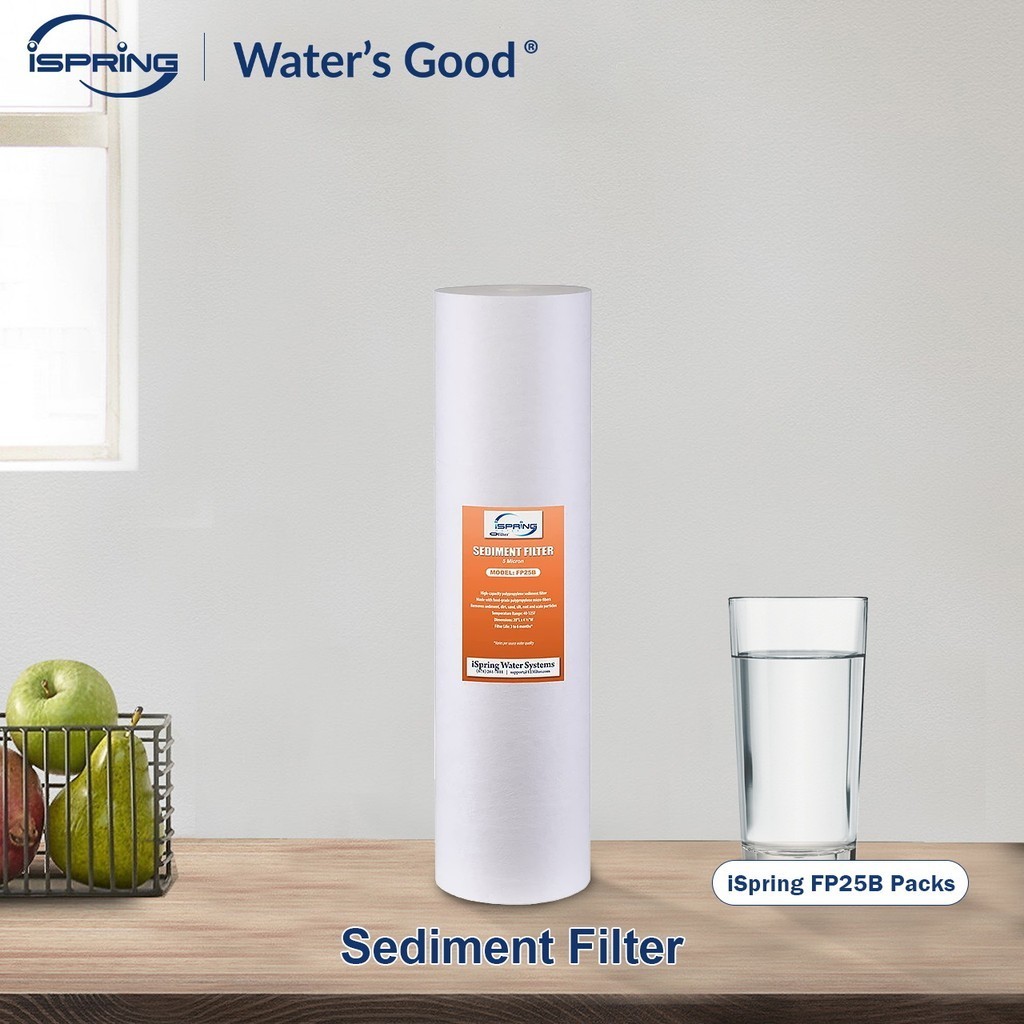 iSpring FP25B Filter Replacement Cartridge High Capacity Water ...