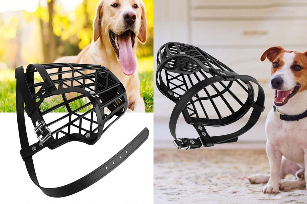 Dog Muzzle Hollow Out Breathable Plastic Puppy Dog Muzzles Anti-Barking ...