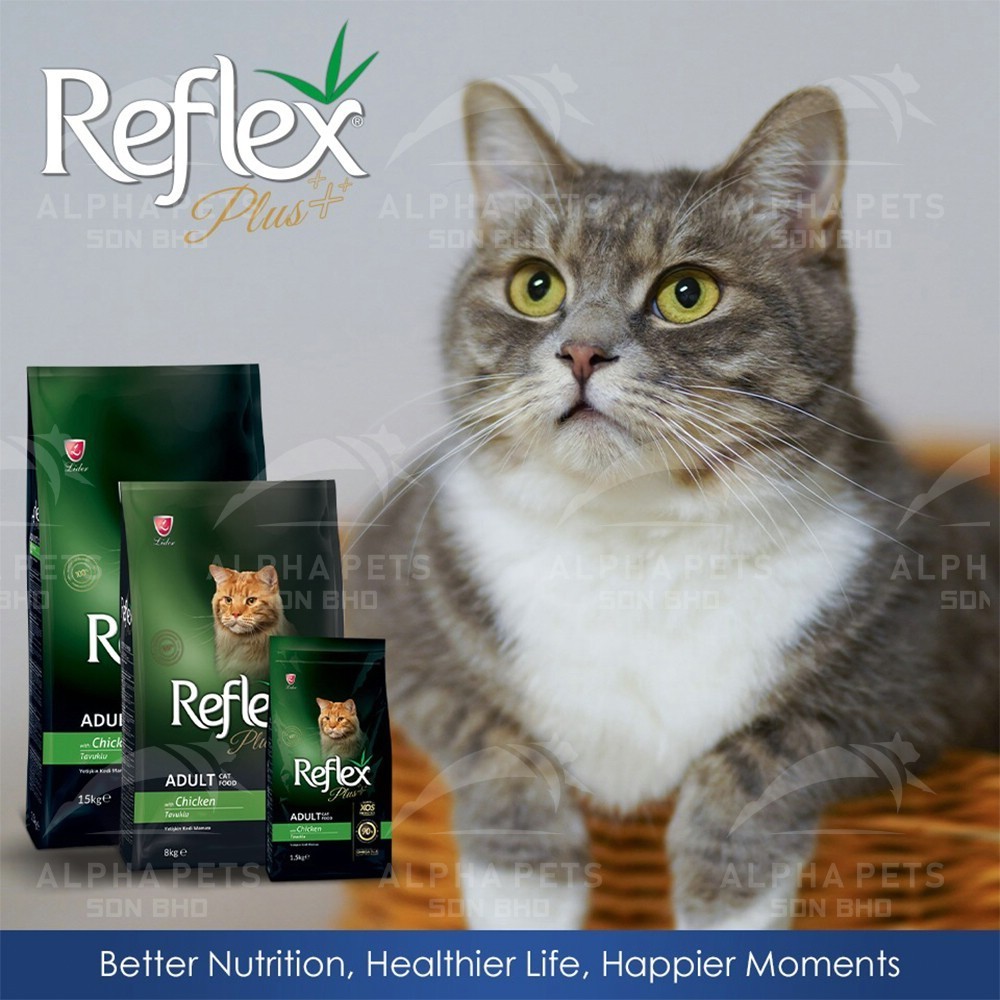 POODEE REFLEX PLUS REPACK 1KG Dry PREMIUM Protein Cat Food Salmon ...