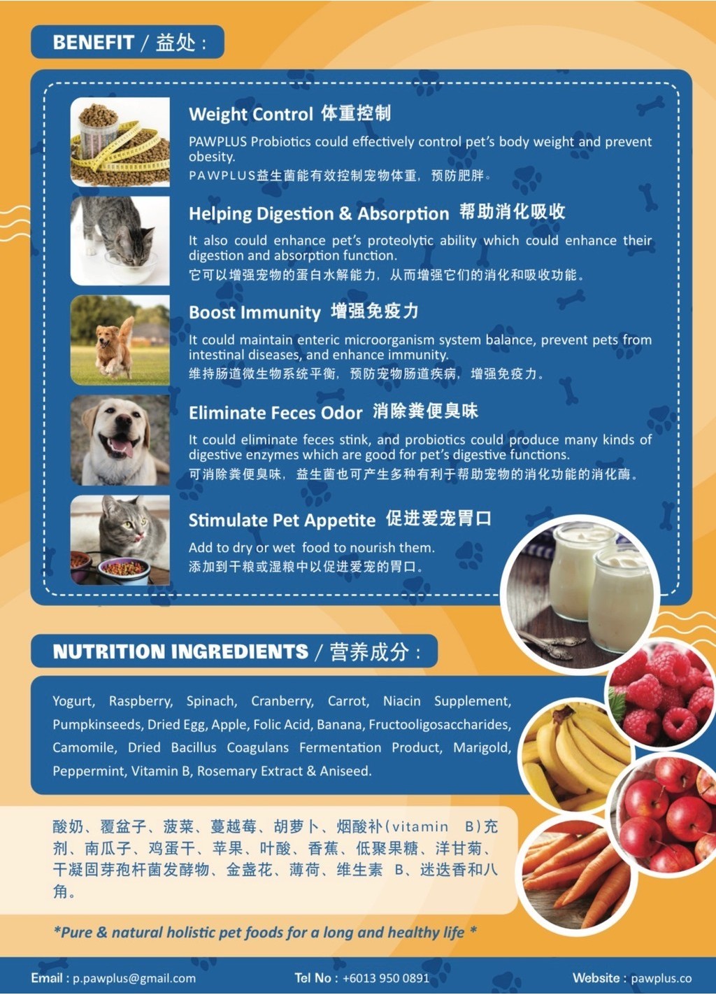 Paw Plus Cats & Dogs Probiotic Prebiotic Guts Health Sample Packs ...