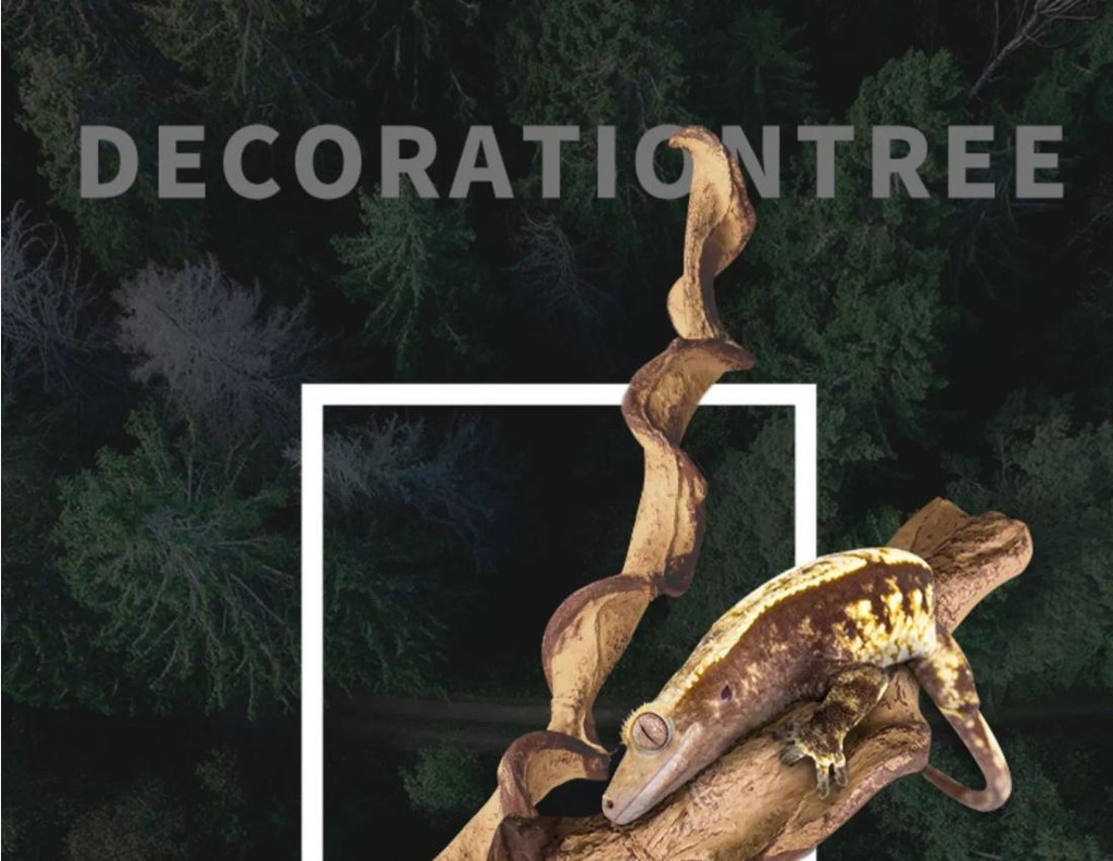 New Special Offer Reptile Climbing Rattan Tree Rattan Chameleon Green ...