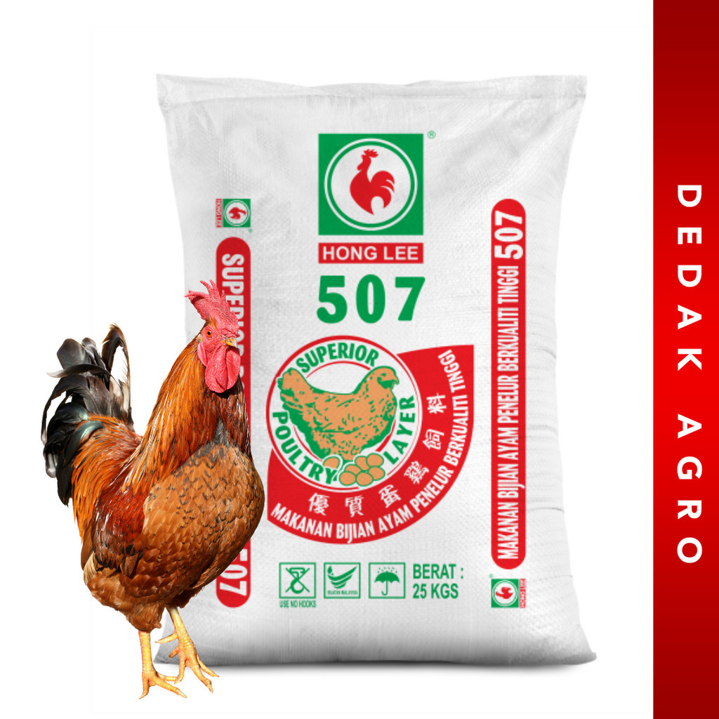 [25KG] [507] Dedak Makanan Ayam Telur | Puyuh Telur Ekonomi [HONG LEE ...