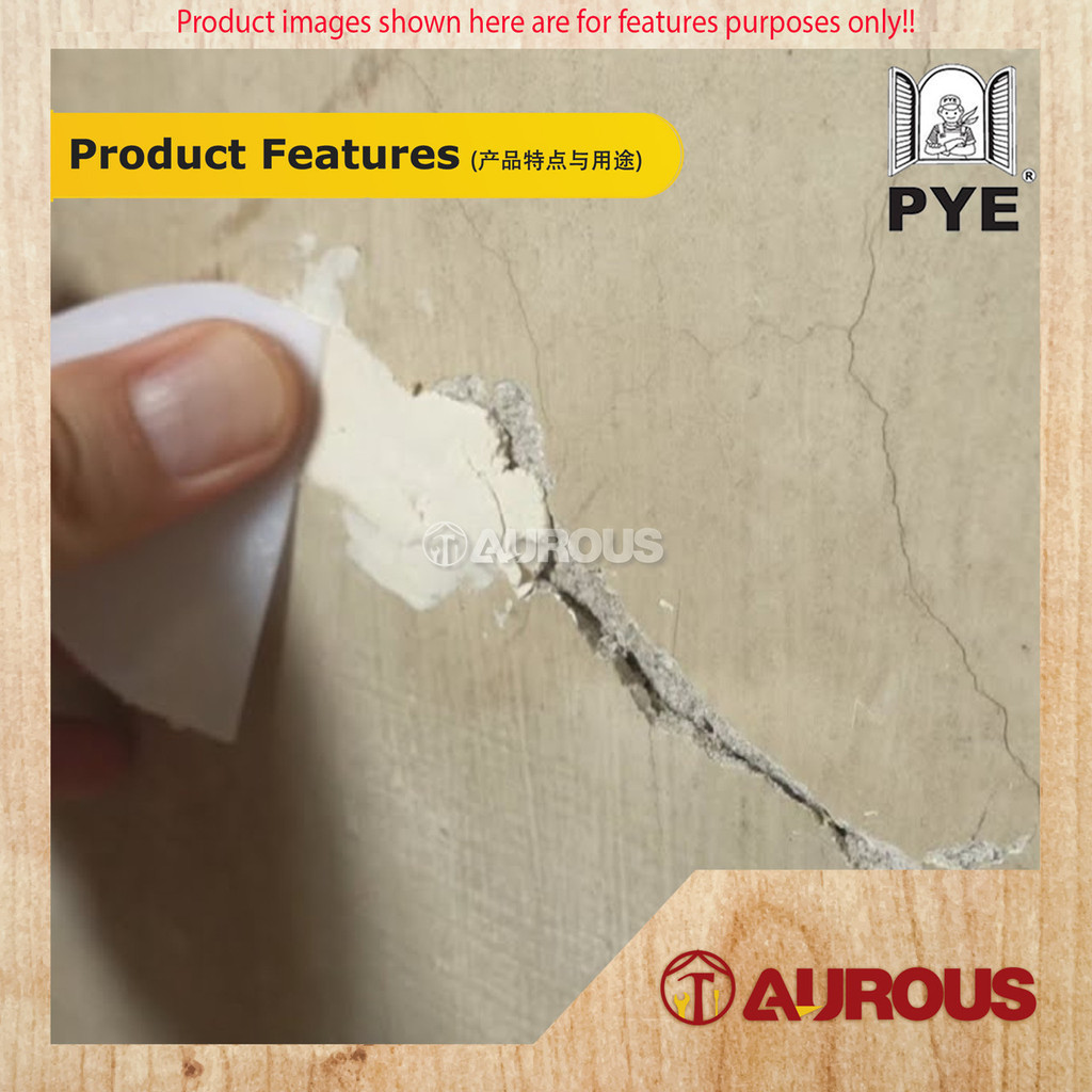PYE PUTTY FILLA READY MIXED ACRYLIC-BASED FILLER FAST DRY FILLER ...