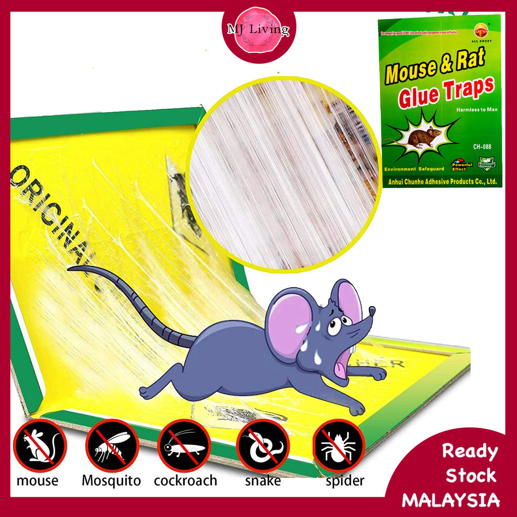 Mouse Catcher Trap Rat Mouse Glue Trap Strong Sticky Rodent Insects ...
