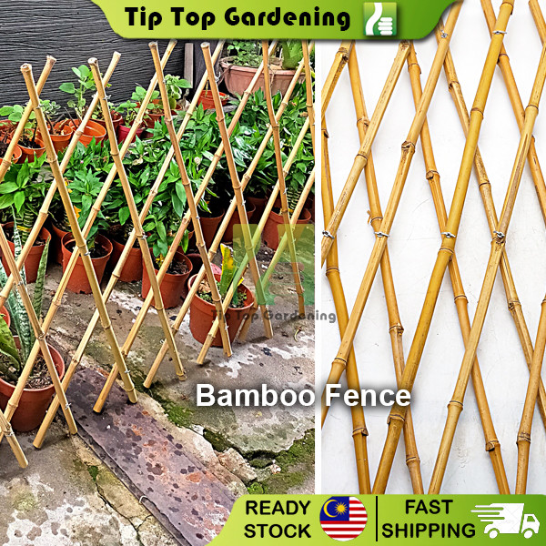 Diy Nature Stretch Bamboo Fence Netting Garden Deco Tools / Pagar Buluh ...