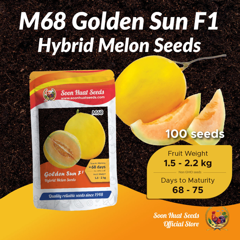 [100 Seeds/500 Seeds] M68 Benih Melon Golden Sun Soon Huat Seeds ...
