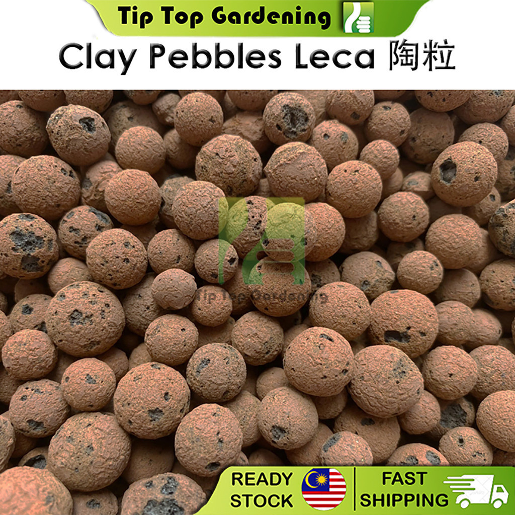 500g Leca Clay Pebbles Natural Leca Balls Expanded Clay Pebble ...