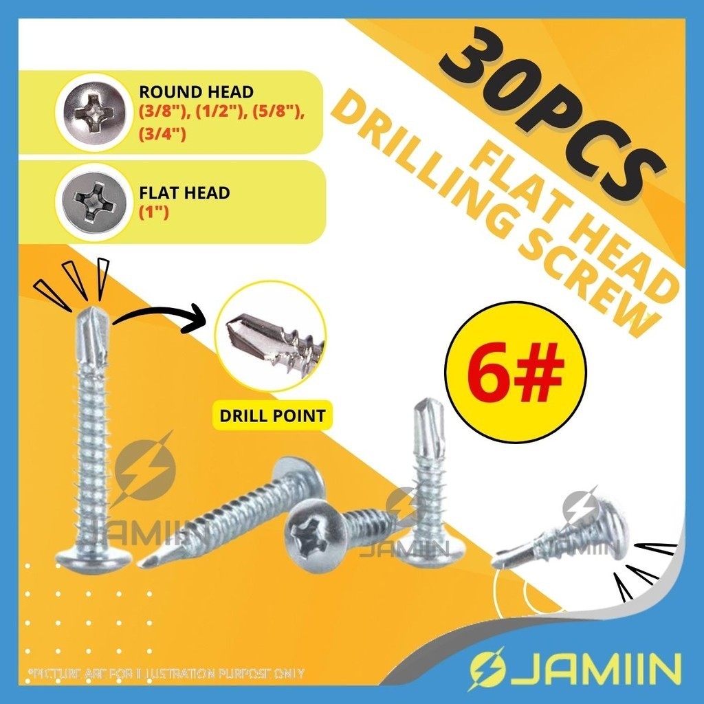 (30PCS) 6# PAN / FLAT HEAD DRILLING SCREW WITH BLADE PHILLIPS HEAD (6x3 ...