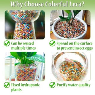 500g Colorful Leca Clay Pebbles Leca Balls Hydroponic Growing Media ...