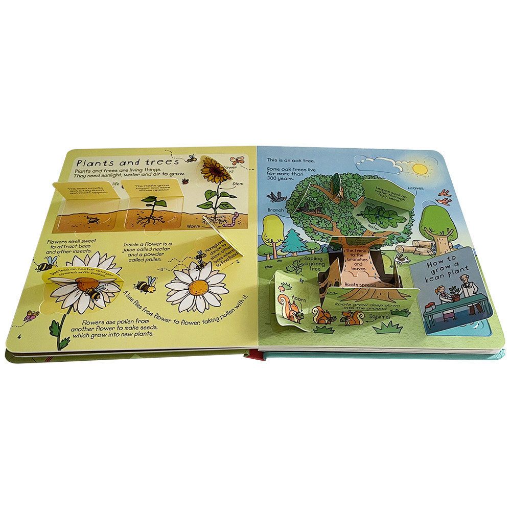 Usborne Look Inside Science 3D Lift the Flap Science Popularization ...