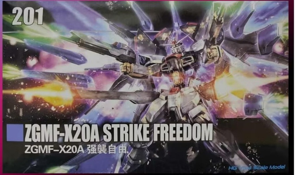 Strike Freedom Fighter 強襲自由戰士 1/144 Model Kit 模型 201 HG Gao Gao 高高 ...
